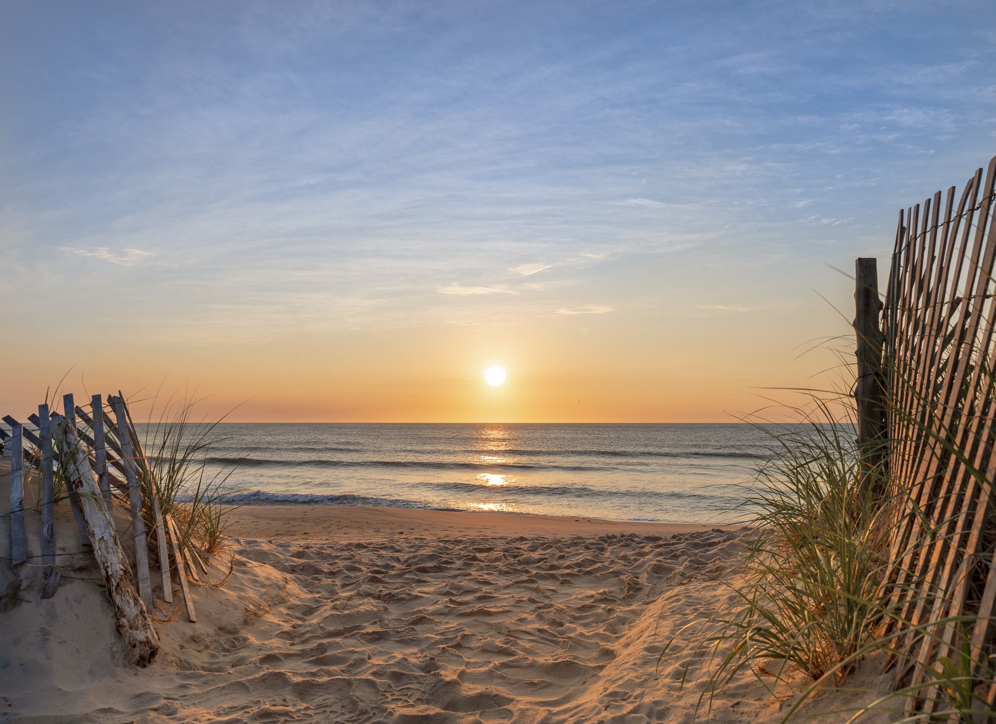 schedule a gallery appointment contact via email